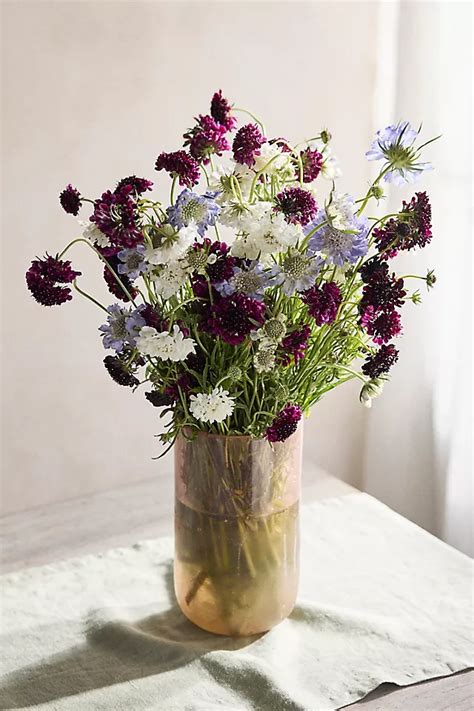 Fresh Scabiosa Bouquet Terrain