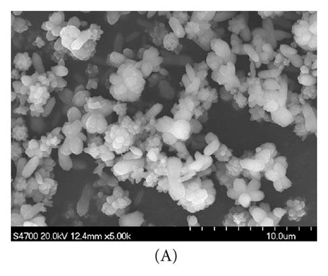 Sem Images And Xrd Patterns Of Caco3 Prepared In The Presence Of Edta