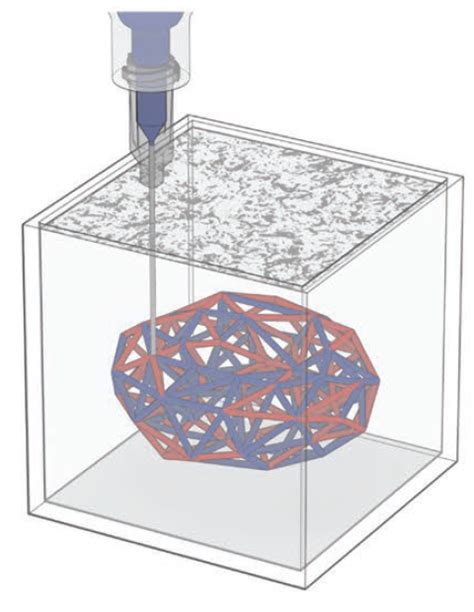 Embedded 3d Printing Of Multimaterial Polymer Lattices Via Graph Based