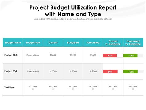 Project Budget Utilization Report With Name And Type Ppt Powerpoint Presentation Infographics Pdf