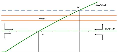 Phase Diagram For The State Variable M And The Control Variable L