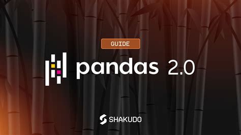 Pandas 2.0 Guide: Everything You Need to Know for Seamless Upgrading ...