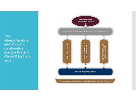 Using Icf Framework In Postgraduate Education