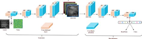 Figure 1 From Gan Based Medical Image Augmentation For Improving Cnn