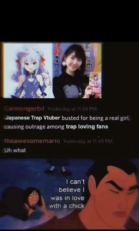 10000 Best Traps Images On Pholder The Cat Trap Is Working Hol Up