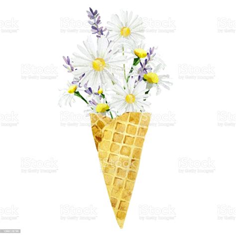 와플 콘에 카모마일 꽃 라벤더 필드 꽃이있는 수채화 아이스크림 인쇄 및 인사말 카드를위한 여름 그림 개화기에 대한 스톡 벡터