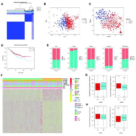 cdrg based consensus clustering analysis of cc patients from the