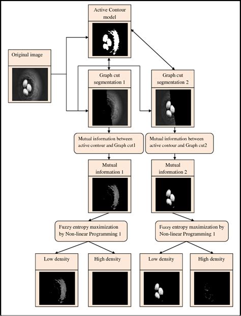 Figure 1 From Hybrid Image Segmentation Model Based On Active Contour And Graph Cut With Fuzzy