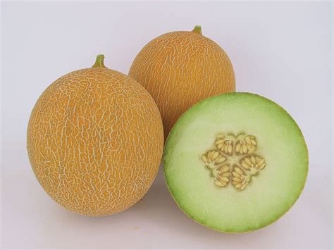 Download Three Honeydew Melon Fruits Wallpaper