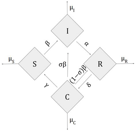 Schematic Representation Of The Sirc Model Download Scientific Diagram