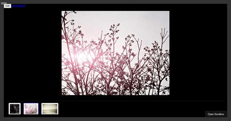 Tui Image Editor Examples CodeSandbox