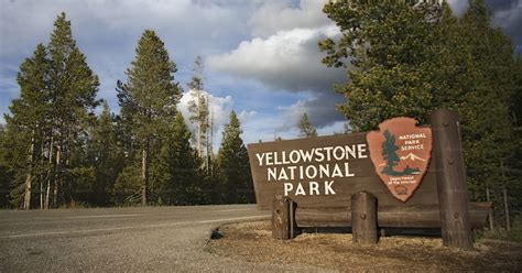 나무 앞의 옐로 스톤 국립 공원 표지판 사진 Unsplash의 건물 입구 이미지