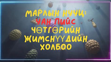 УАН ПИЙС Чөтгөрийн жимснүүдийн холбоо Youtube