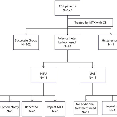 Flowchart Of The Study Participants Csp Cesarean Scar Pregnancy