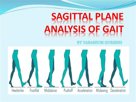 P Pt Final Sagittal Plane Analysis Of Gait Pptx