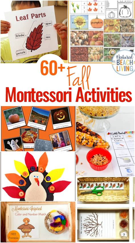 40 Best Fall Preschool Themes And Activities Natural Beach Living