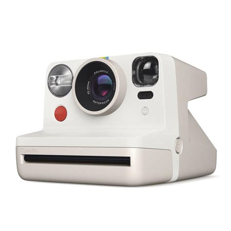 Polaroid Foto Erhardt
