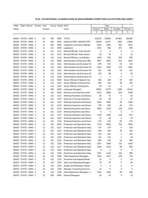 B 25 Occupational Classification Of Main Workers Other Than
