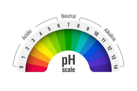 How To Change Your Soil PH Balcony Garden Web