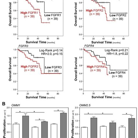 Role Of The Fgf Fgfr System In The Prognosis Of Uveal Melanoma Um Download Scientific Diagram