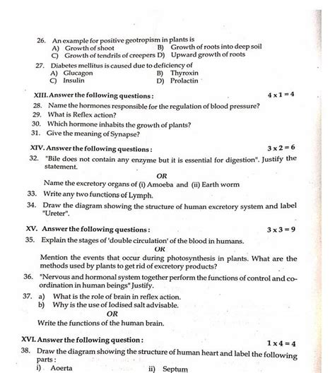 An Example For Positive Geotropism In Plants Is A Growth Of Shoot B