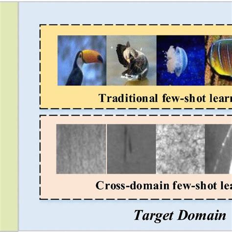 Traditional And Cross Domain Few Shot Learning Setting Download Scientific Diagram