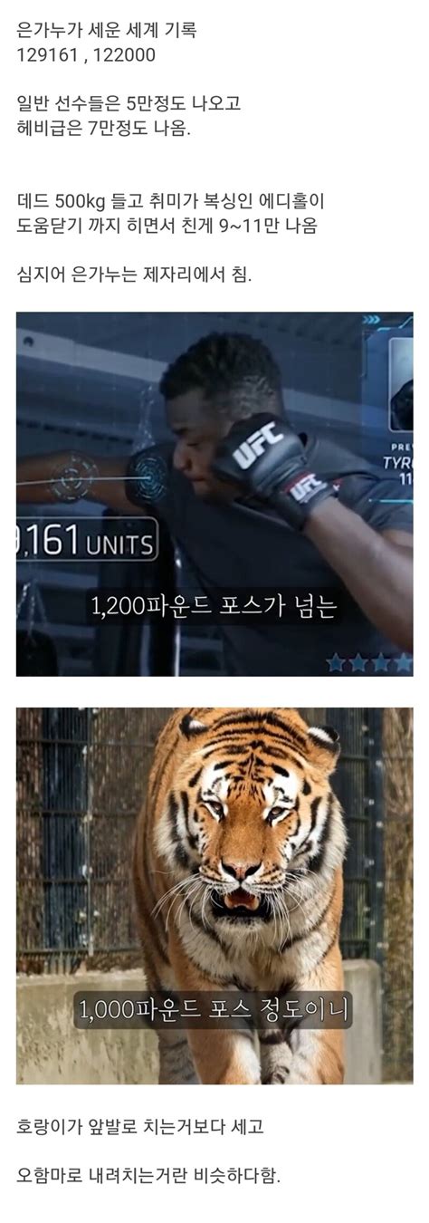 오픈 이슈 갤러리 은가누의 펀치가 많이 아픈 이유 Vortex Gaming 오픈 이슈 갤러리 은가누의 펀치가 많이 아픈 이유 Vortex Gaming