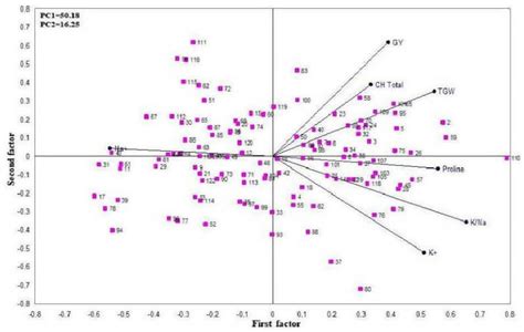 Vector View Of The Biplot Showing Interrelationships Among Traits Under