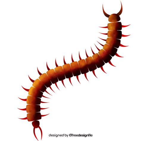 Centipede Clipart