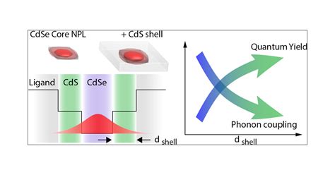 Impact Of Shell Growth On Recombination Dynamics And Excitonphonon Interaction In Cdsecds Core