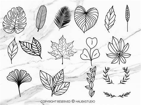 35 Procreate Leaves And Branches Stamps Botanical Procreate Etsy