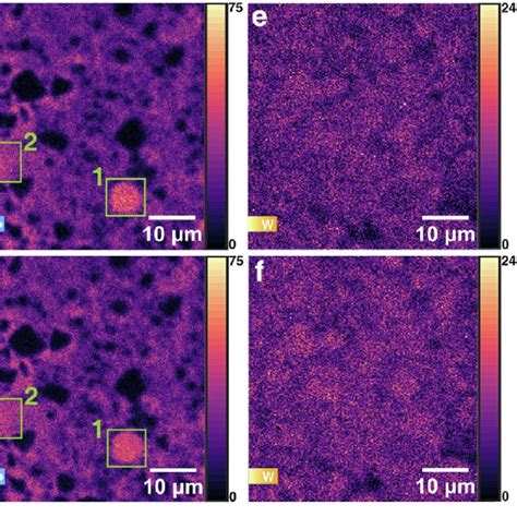 A B Sem Morphology Of The Same Scanning Region Before And After Pmt