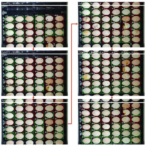 Detection Of Broken Eggs Via Video Download Scientific Diagram
