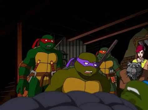 Tmnt 2003 The Turtles Splinter And April By Hedwieapotter On Deviantart