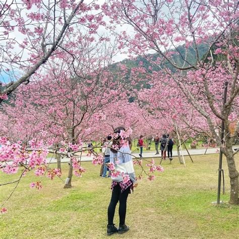 Pei Wen Zhang Zhang Peiwen On Threads