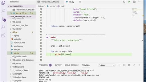 tiny python projects ch 6 pt 3 multiple levels of looping youtube
