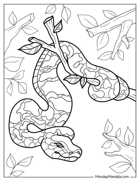 Python Coloring Page