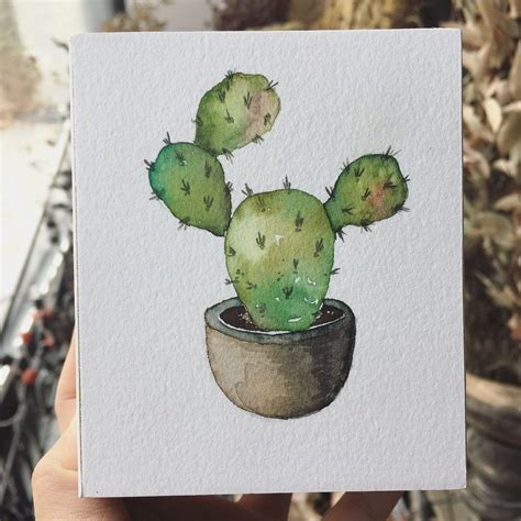ʙ я ᴜ и ᴇ ᴛ ᴛ ᴇ Pintura De Cactus Arte De Acuarela Cuadro Acuarela