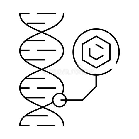 Dna Molecular Structure Line Icon Vector Illustration Stock Illustration Illustration Of Atom