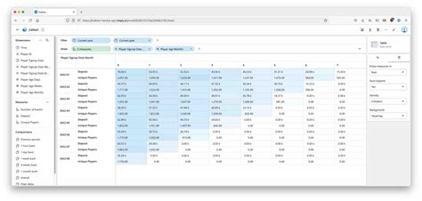Tutorial Cohort Analysis With Imply