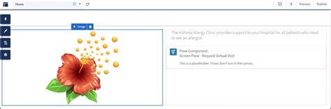 Use Flows And Experience Cloud To Access Salesforce Scheduler Automate This Salesforce Admins
