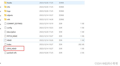 Git拉取代码报错 Updateref Failed For Ref ‘orighead‘ Cannot Lock Ref ‘orighead‘update Ref Failed