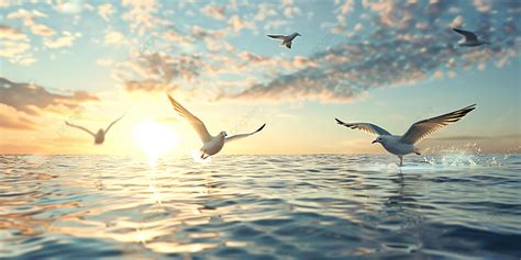 Bird Migration Patterns Background Images Hd Pictures And Wallpaper