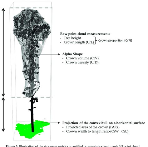 Illustration Of The Six Crown Metrics Quantified On A Mature Sugar
