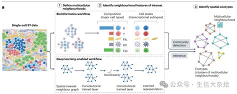 Xenium 细胞邻域cellular Neighborhood分析fixed K Nearest Neighbor Csdn博客