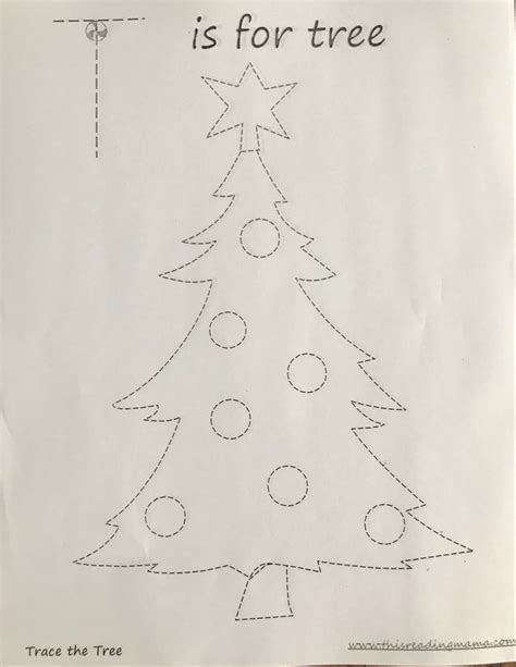 T Is For Tree Tracing Tree