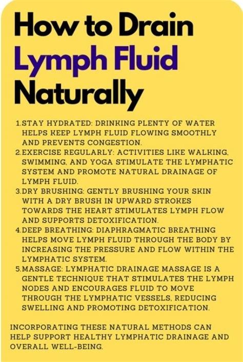 Best 13 Dexa Scan Bone Density Test Preparation And What To Expect