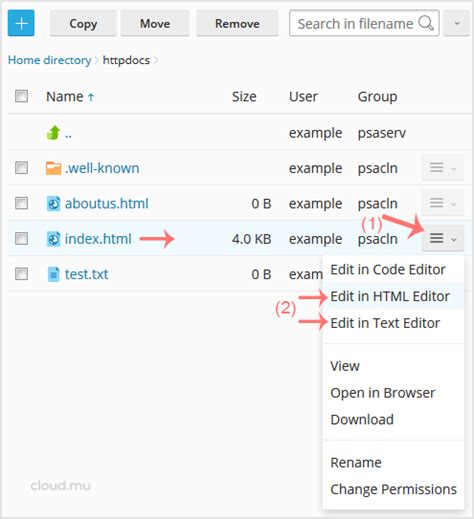 how to edit a file in the plesk file manager cloud mu