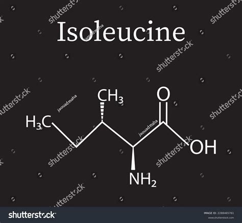 Isoleucine Amino Acid Formula Structure Chemical Stock Vector Royalty
