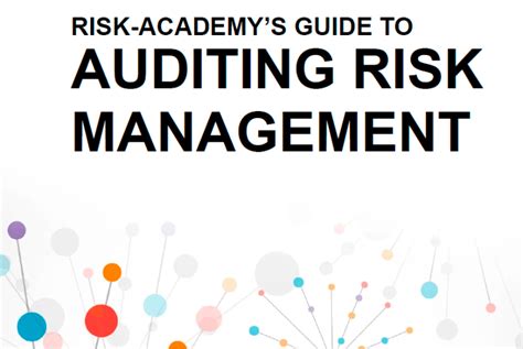 Risk Academys Auditing Risk Management Guide Risk Academy Blog